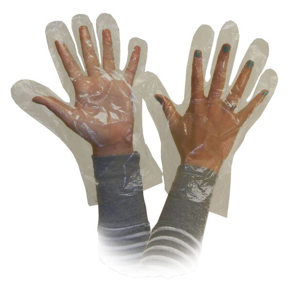 Disposable Poly Gloves Large (500 pcs)
