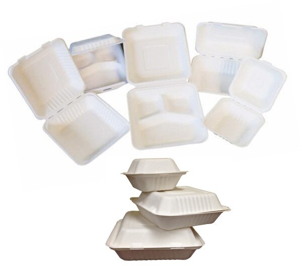 PRM-HL66 Hinged Container 6x6 (500 pcs)